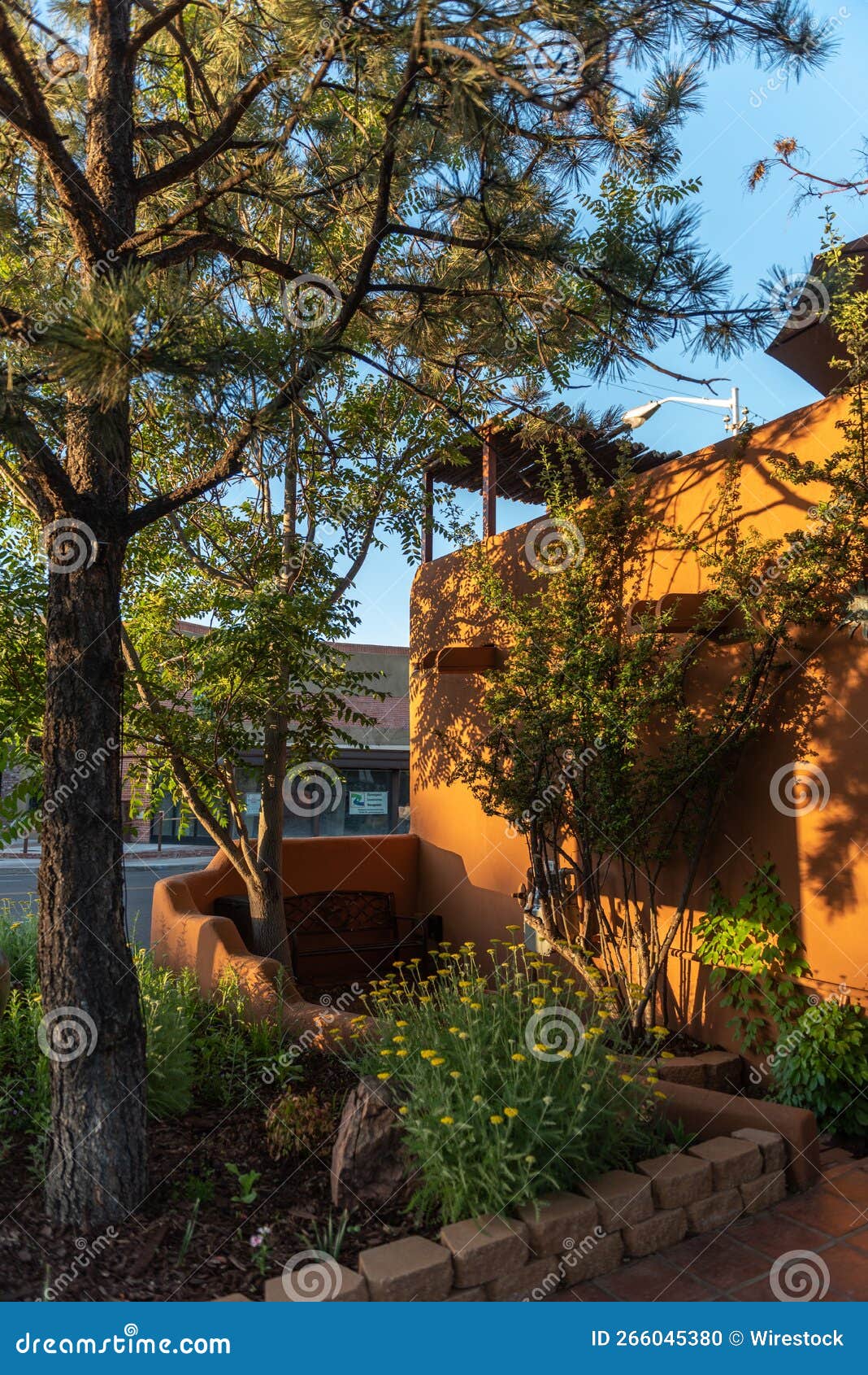 Exterior of an Adobe Style Architecture House with Plants and Trees ...