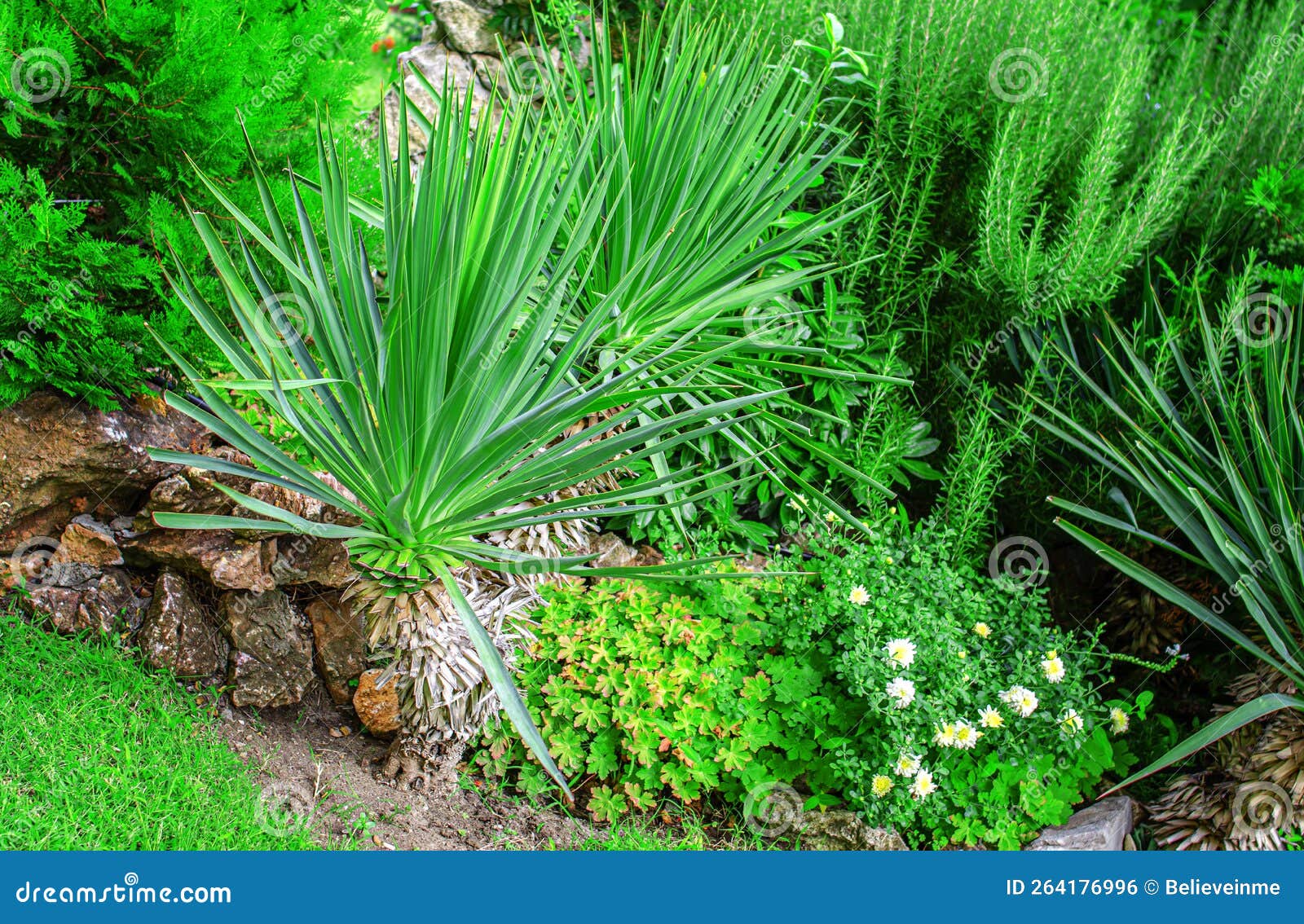 Exterior of Alpine Slide in a Garden. Stock Photo - Image of ...