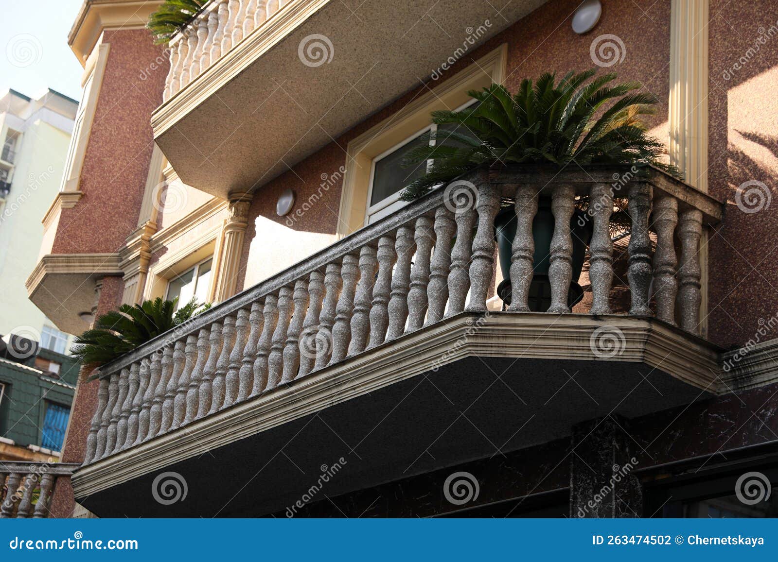 Exterior of Beautiful Building with Balconies and Palm Tree Outdoors ...