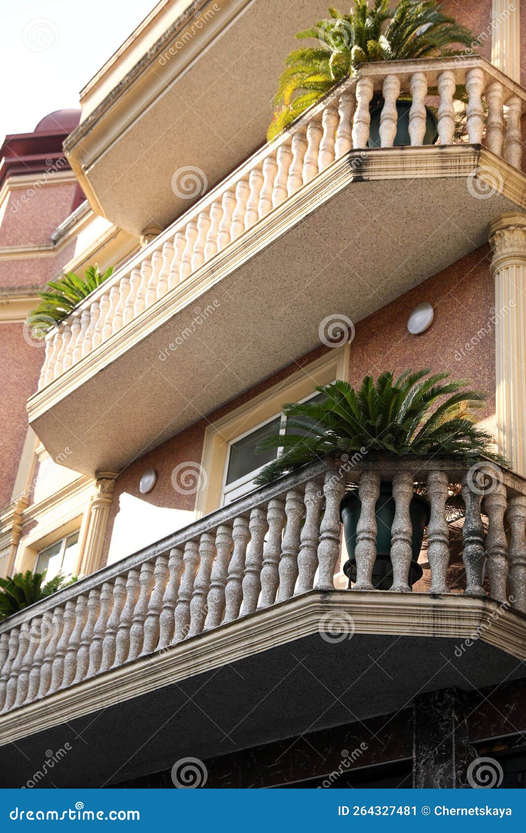 Exterior of Beautiful Building with Balconies and Palm Tree Outdoors ...