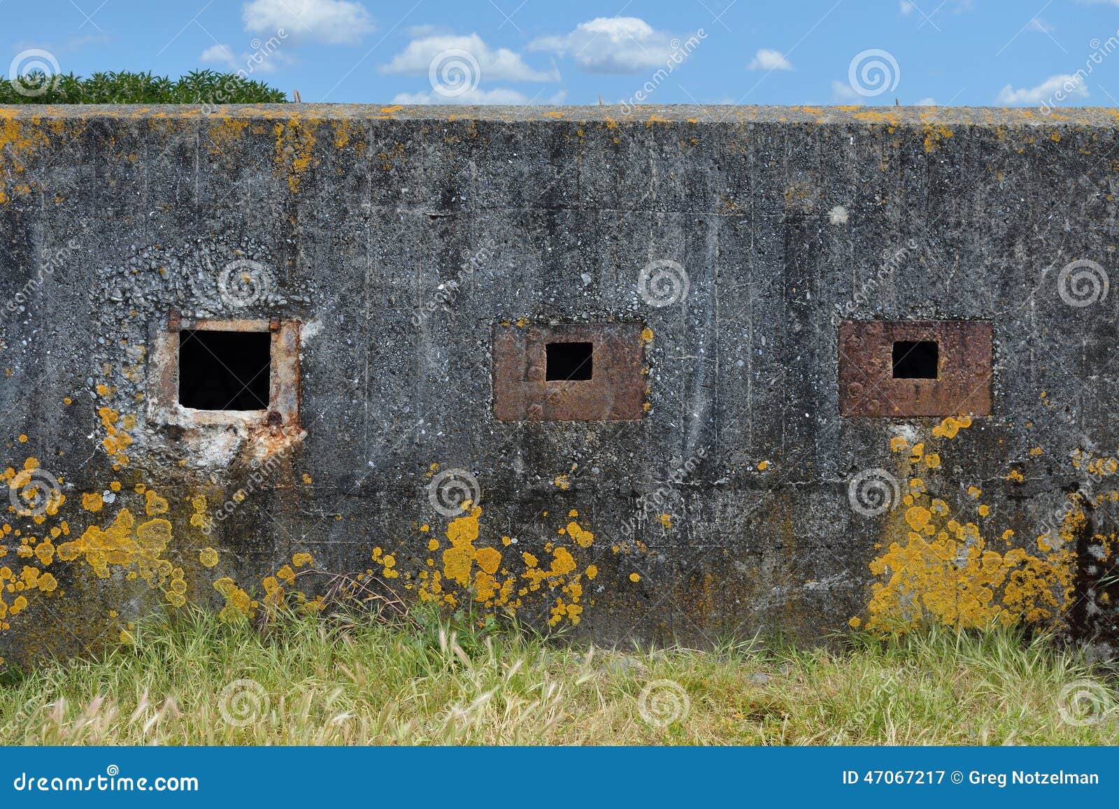 Exterior bunker windows stock image. Image of grass, lichen - 47067217