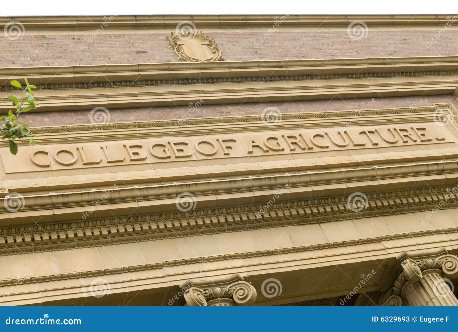 328 Brick Pillar Sign Stock Photos - Free & Royalty-Free Stock Photos ...