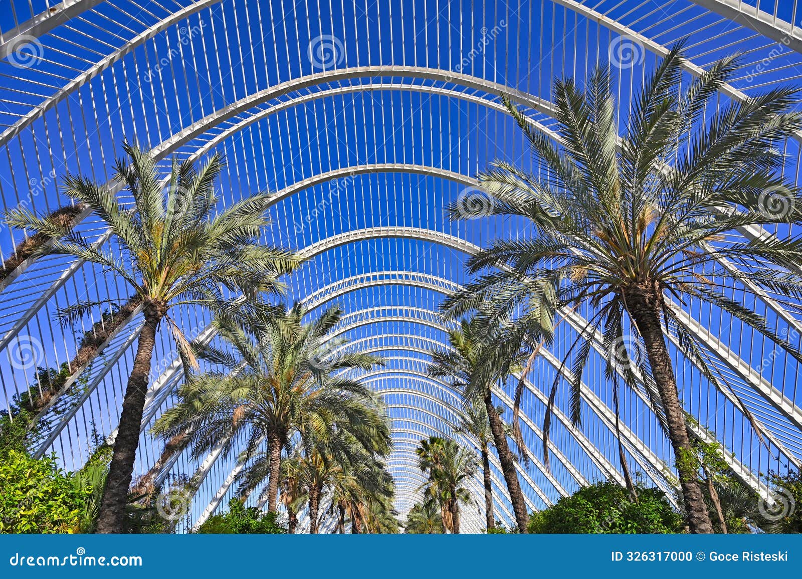 Exterior Structure of the Umbracle with Its Greenery in Valencia Stock ...
