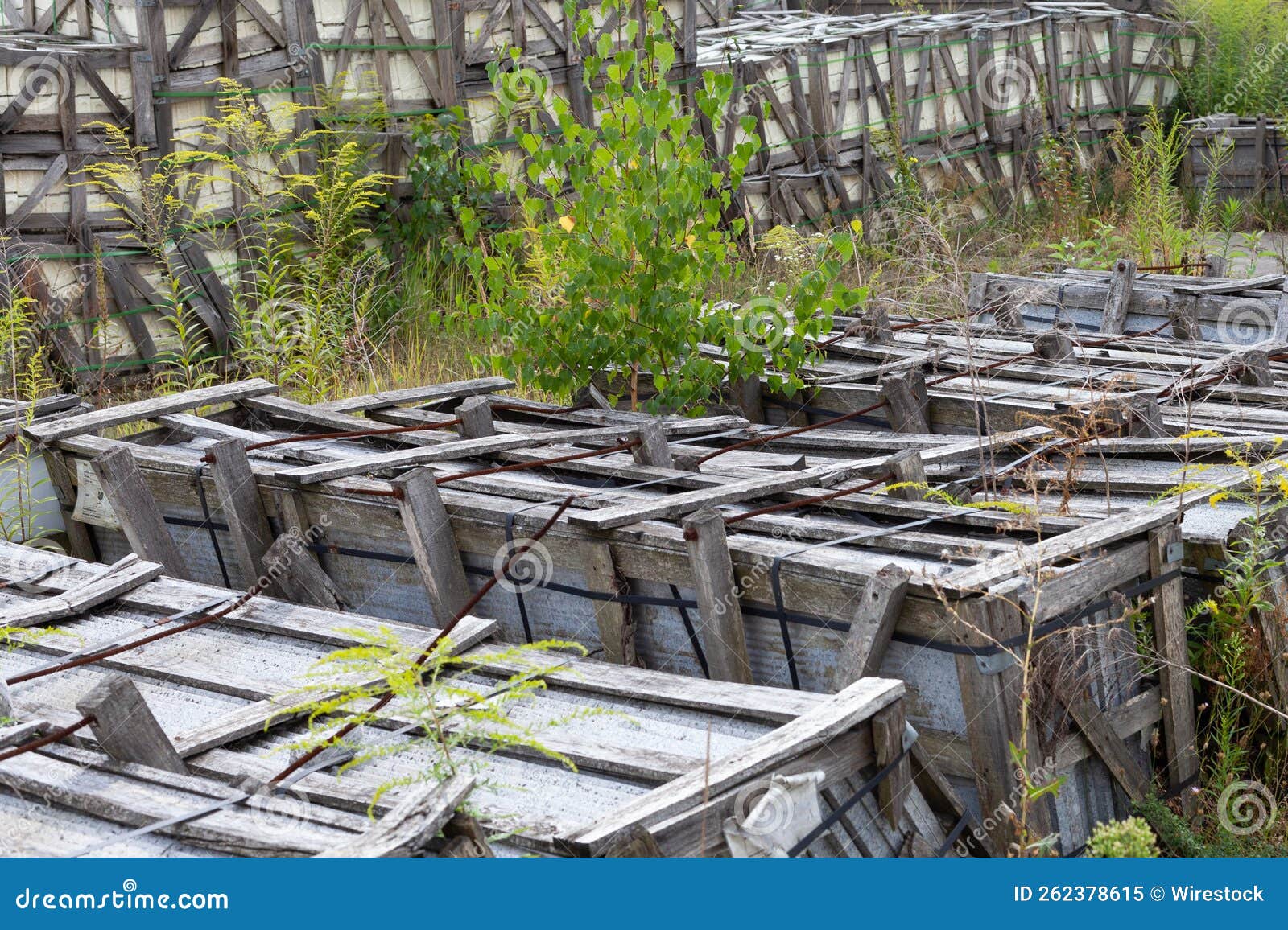 Exterior View of Wooden Boxes in a Farm Stock Image - Image of rough ...
