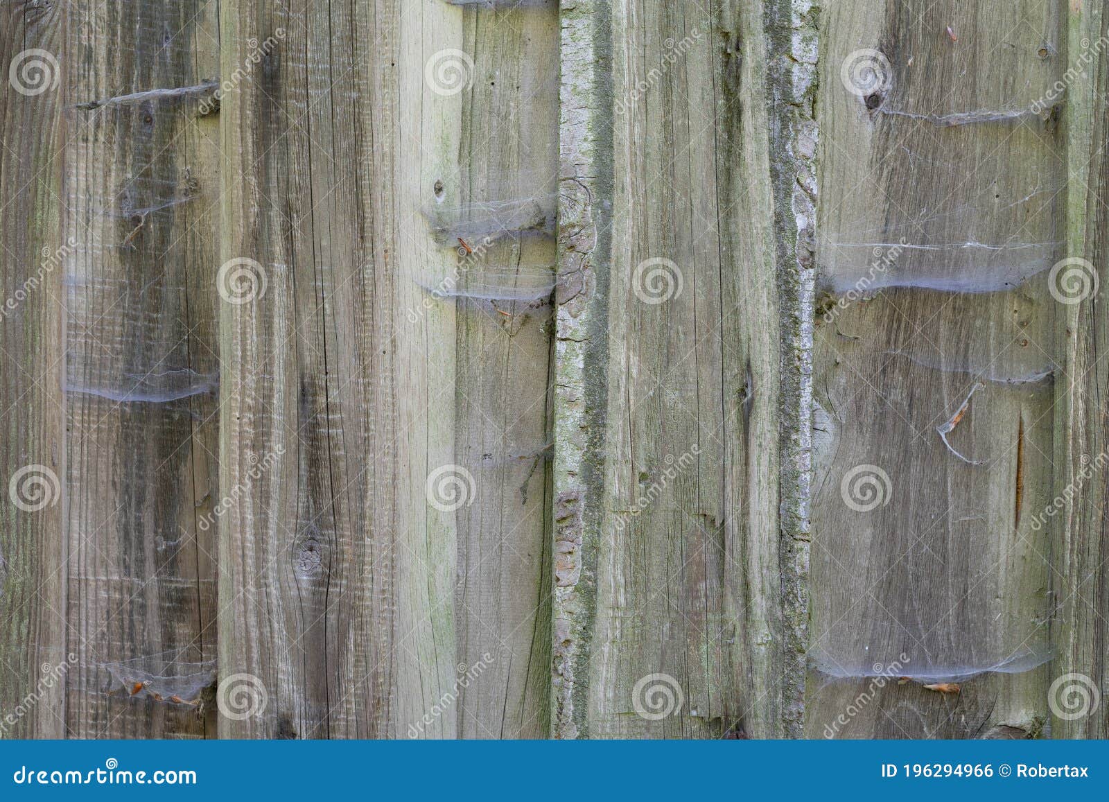 Exterior Weathered Spruce Timber Cladding Facade with Spider Webs Stock ...