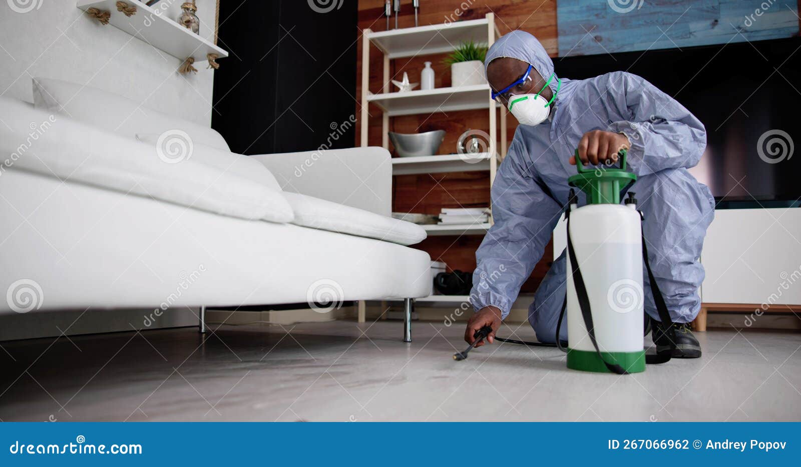 Exterminate Pest Termites stock photo. Image of store - 267066962