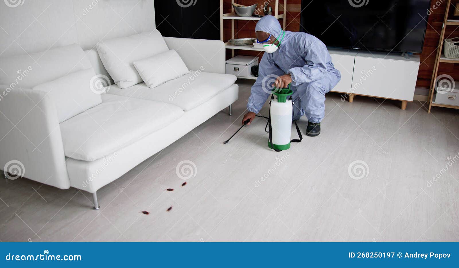 Exterminate Pest Termites stock image. Image of protect - 268250197