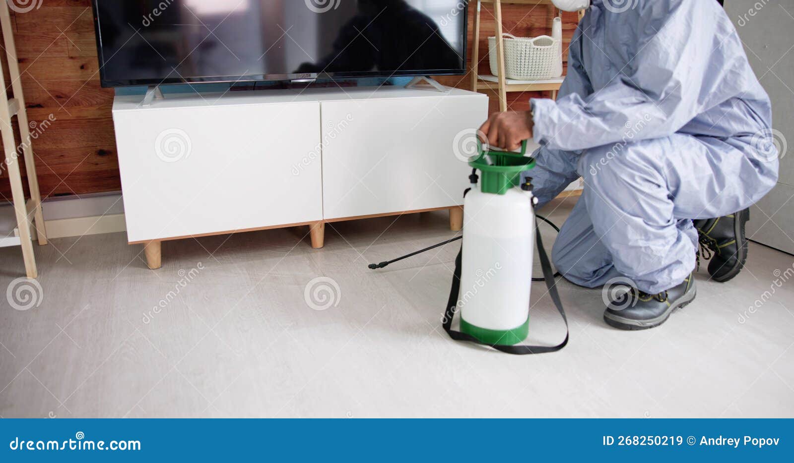 Exterminate Pest Termites stock image. Image of wall - 268250219