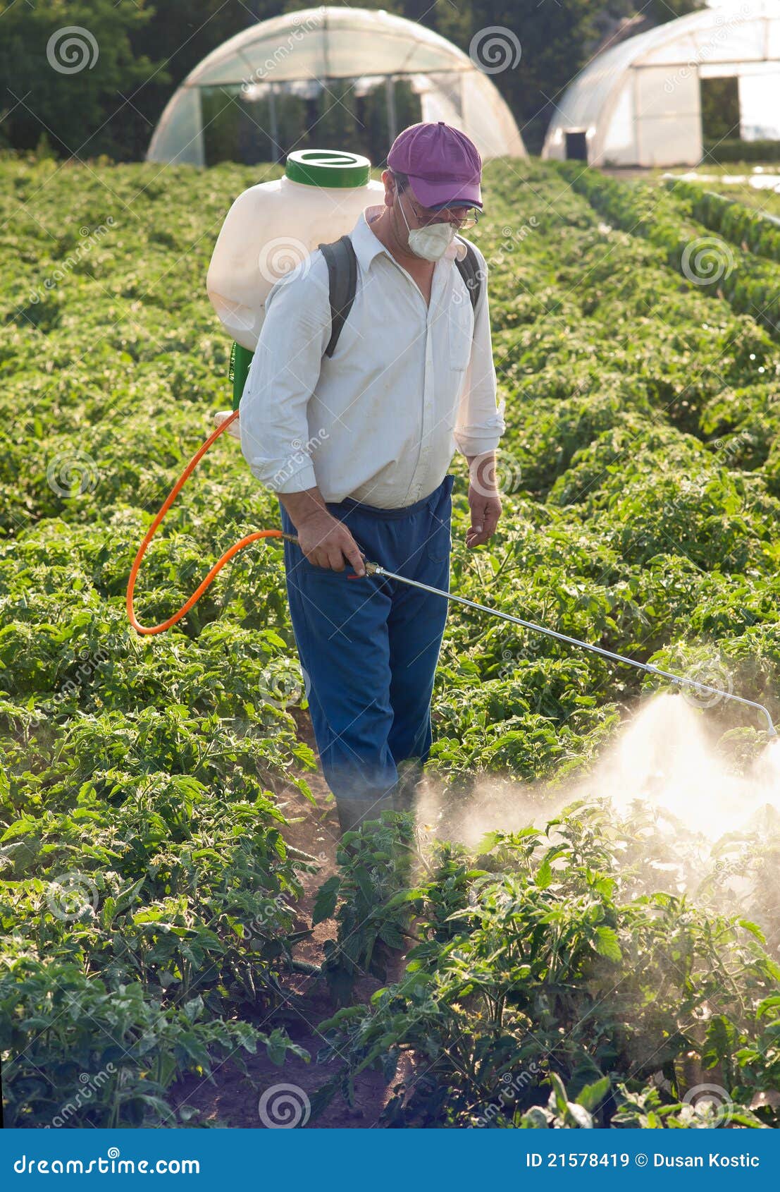 Exterminator stock image. Image of chemical, danger, people - 21578419