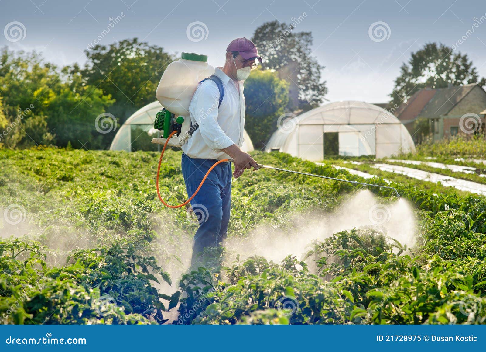 Exterminator stock image. Image of worker, toxic, exterminator - 21728975