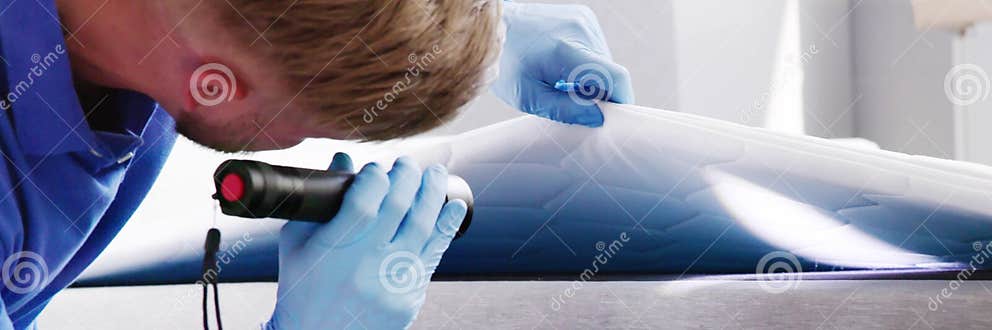 Exterminator Checking Bed Bug Treatment Stock Photo - Image of company ...