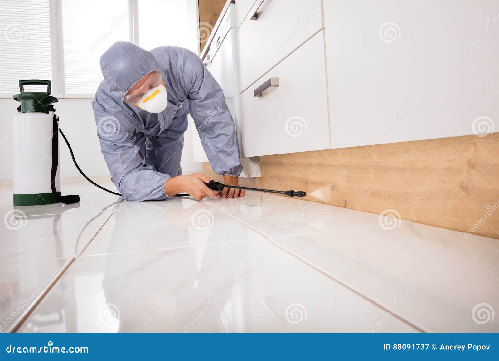 Exterminator Spraying Pesticide in Kitchen Stock Image - Image of ...