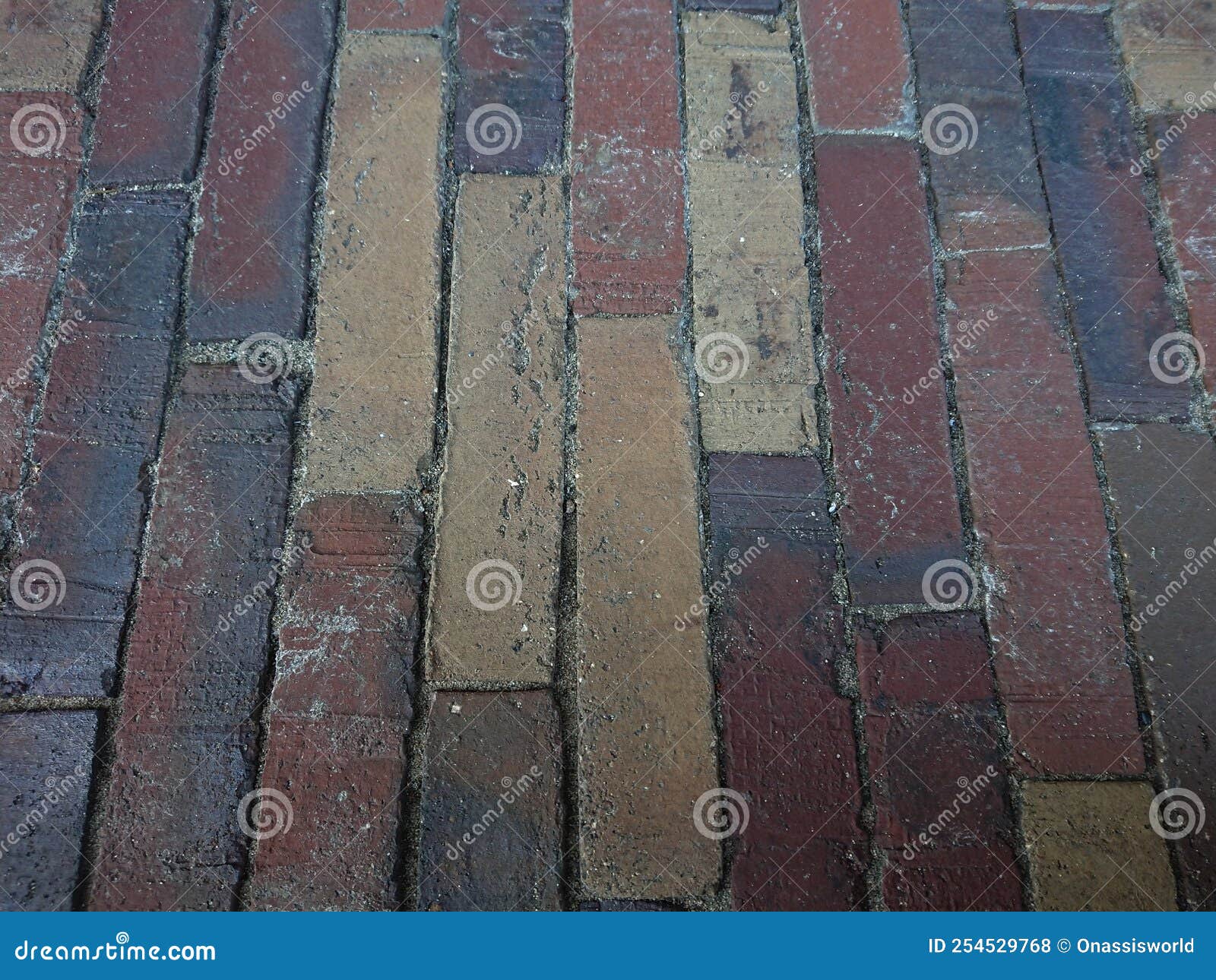 External Modern Building Architectural Paving Stock Photo - Image of ...
