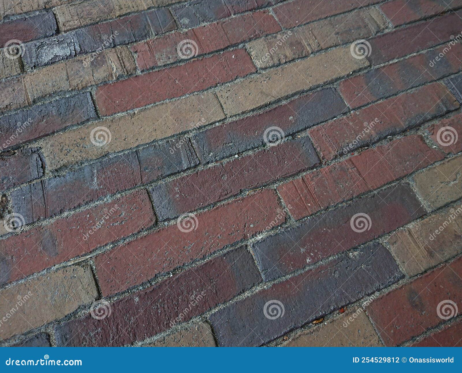 External Modern Building Architectural Paving Stock Photo - Image of ...