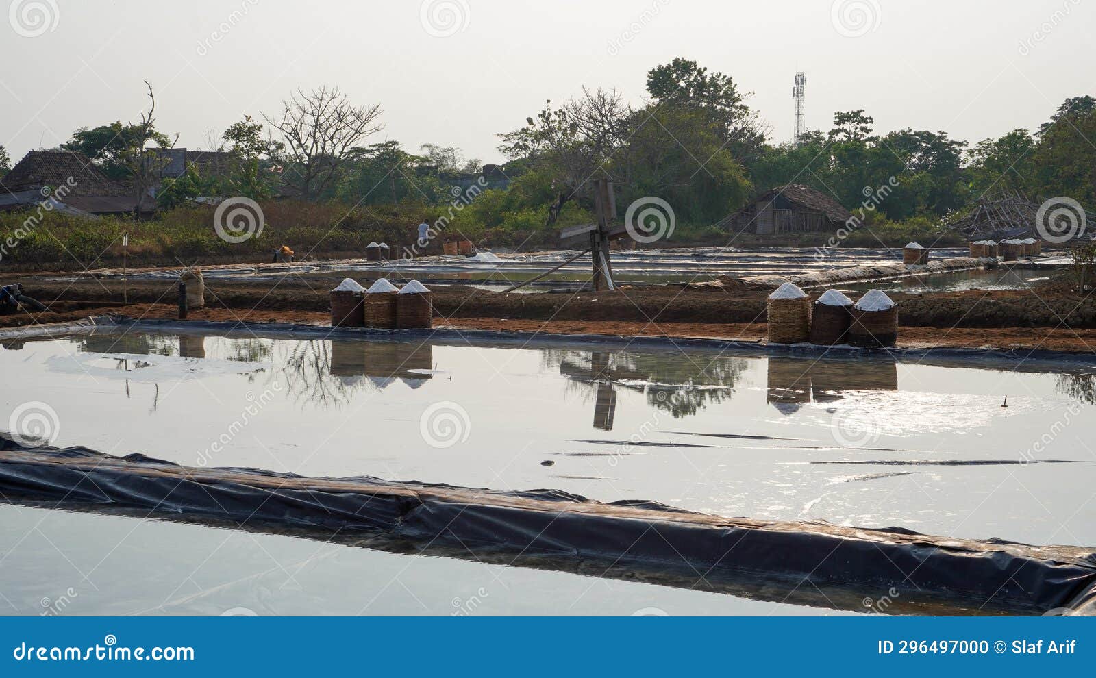External View of a Salt Farming Field Stock Photo - Image of outdoor ...