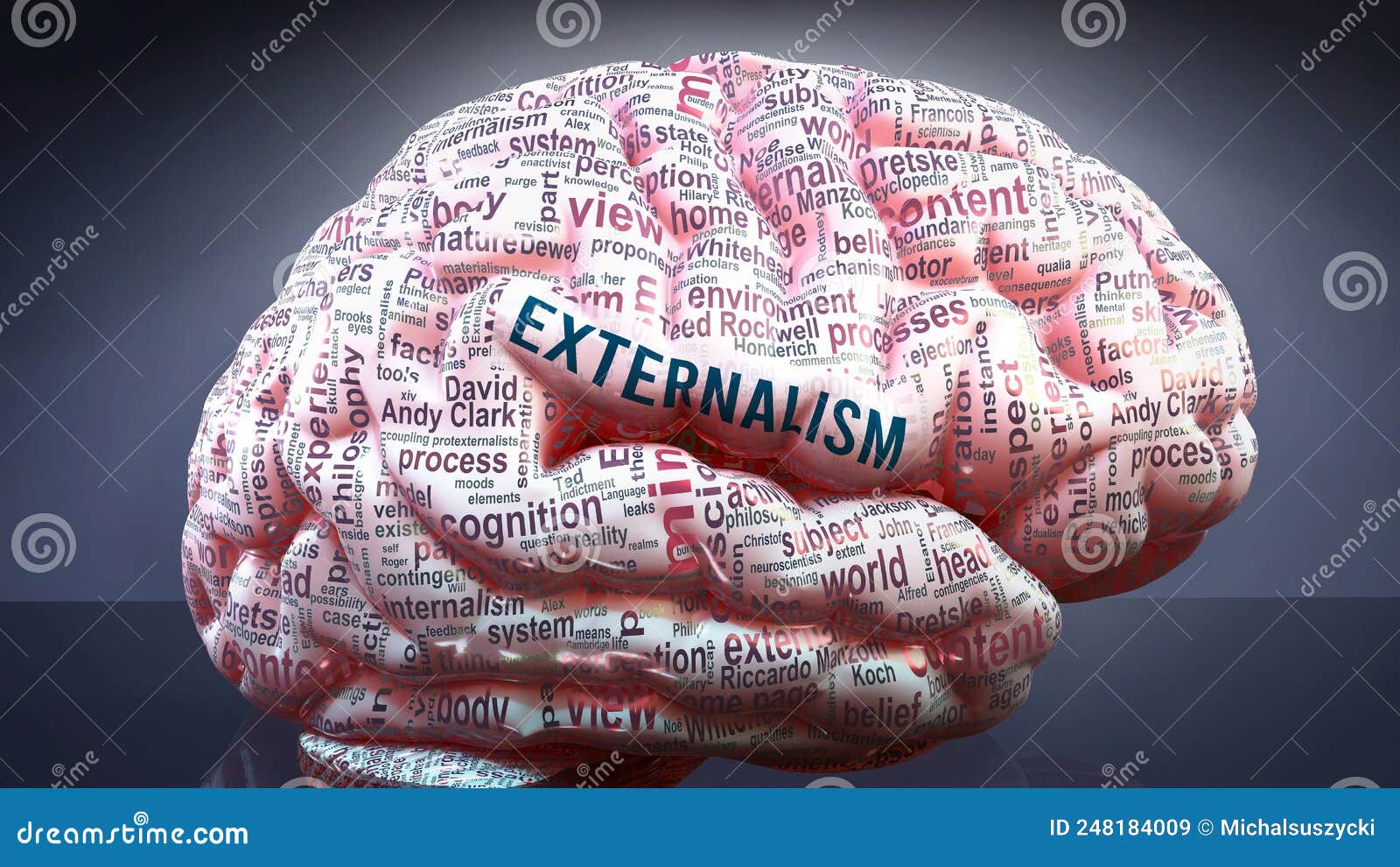 Externalism and a Human Brain Stock Illustration - Illustration of ...