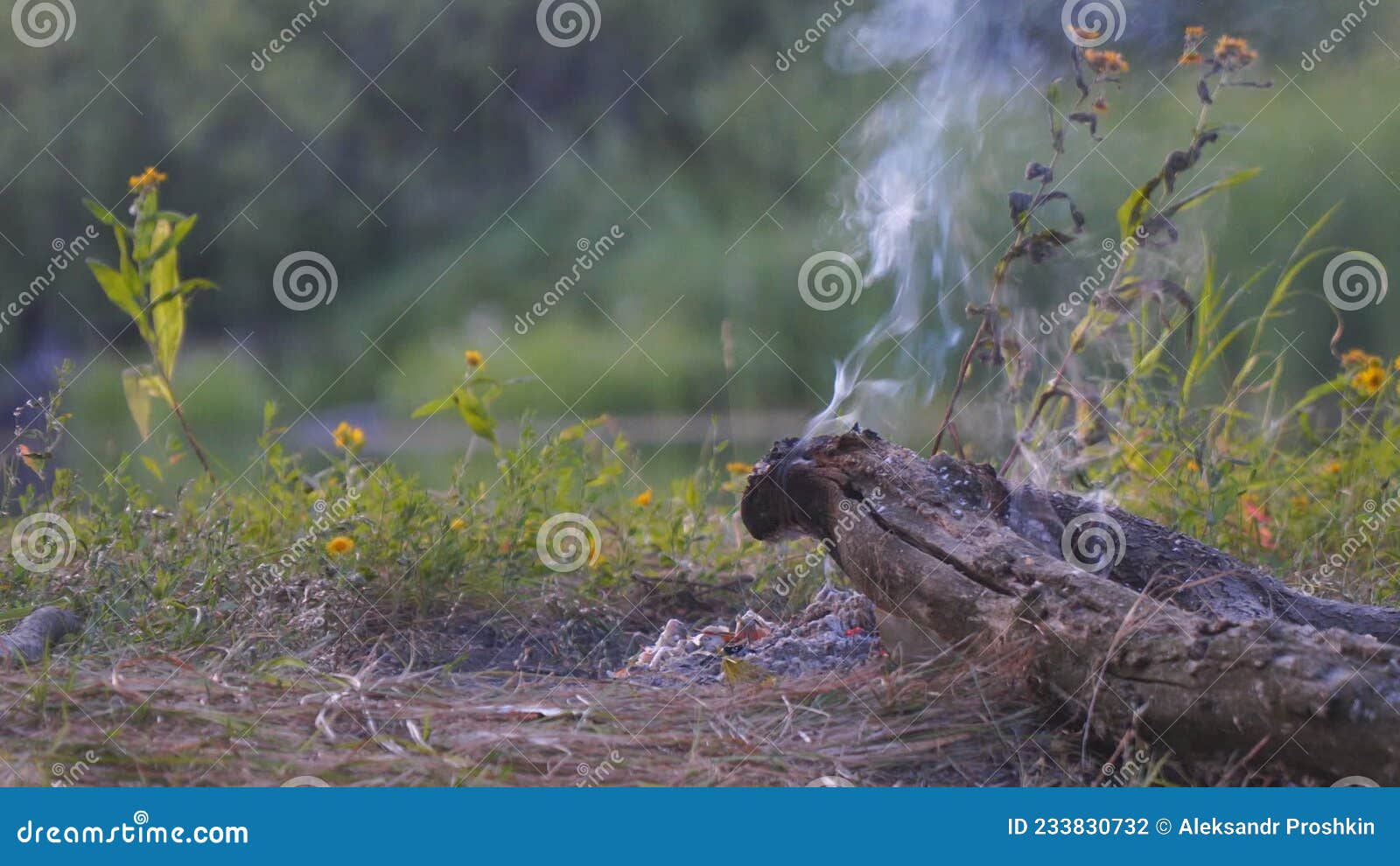 An Extinct Bonfire in the Camp by the Lake. Light Smoke from Coals and ...