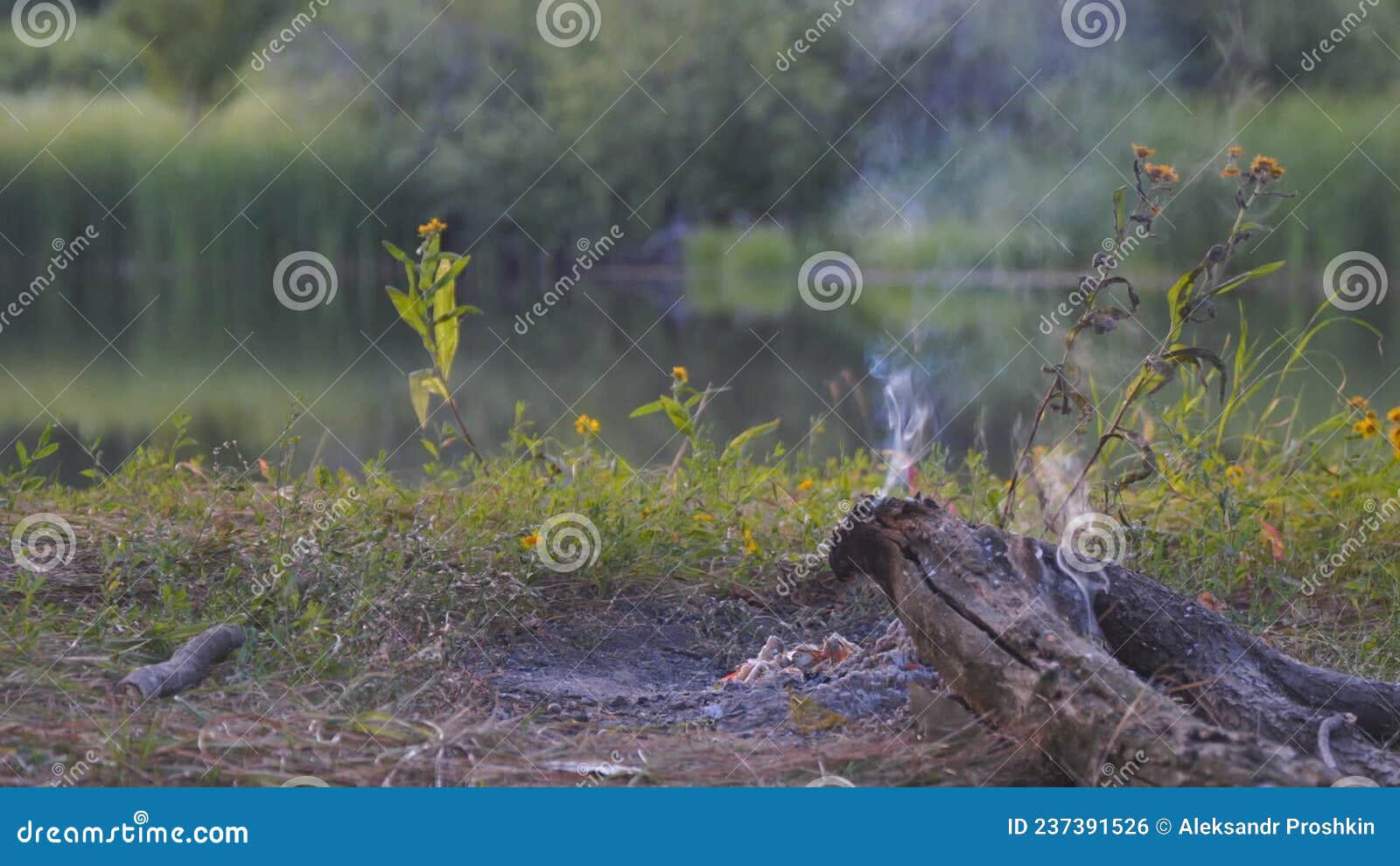 An Extinct Bonfire in the Camp by the Lake. Light Smoke from Coals and ...