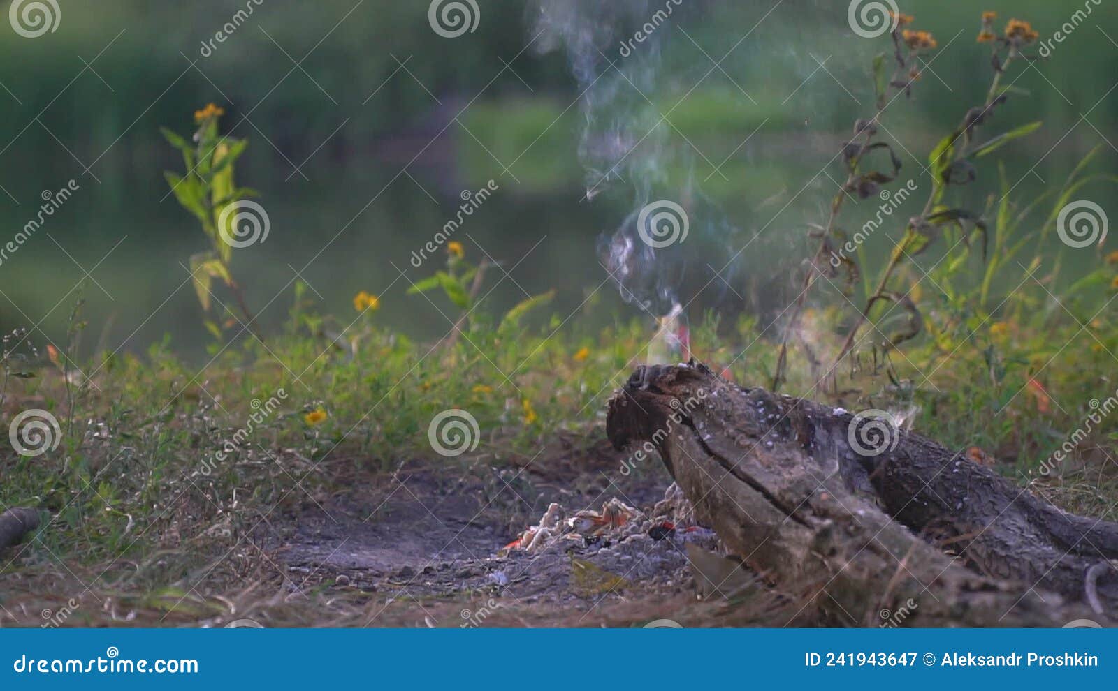 An Extinct Bonfire in the Camp by the Lake. Light Smoke from Coals and ...