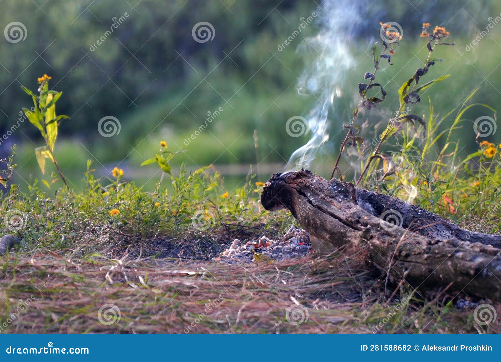 An Extinct Bonfire in the Camp by the Lake. Light Smoke from Coals and ...