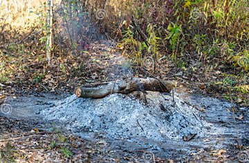 Extinct Fire in the Forest. Stock Photo - Image of rainforest, scenery ...