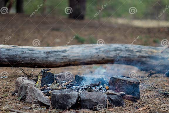 An Extinct Fire in the Forest. Stock Photo - Image of color, dirt ...