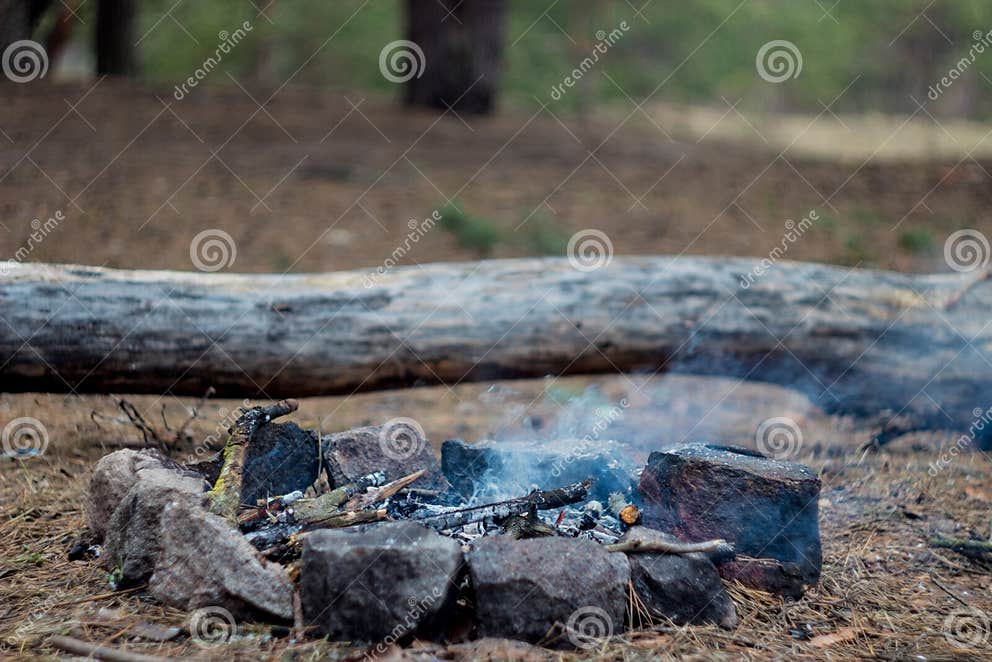 An Extinct Fire in the Forest. Stock Photo - Image of color, dirt ...