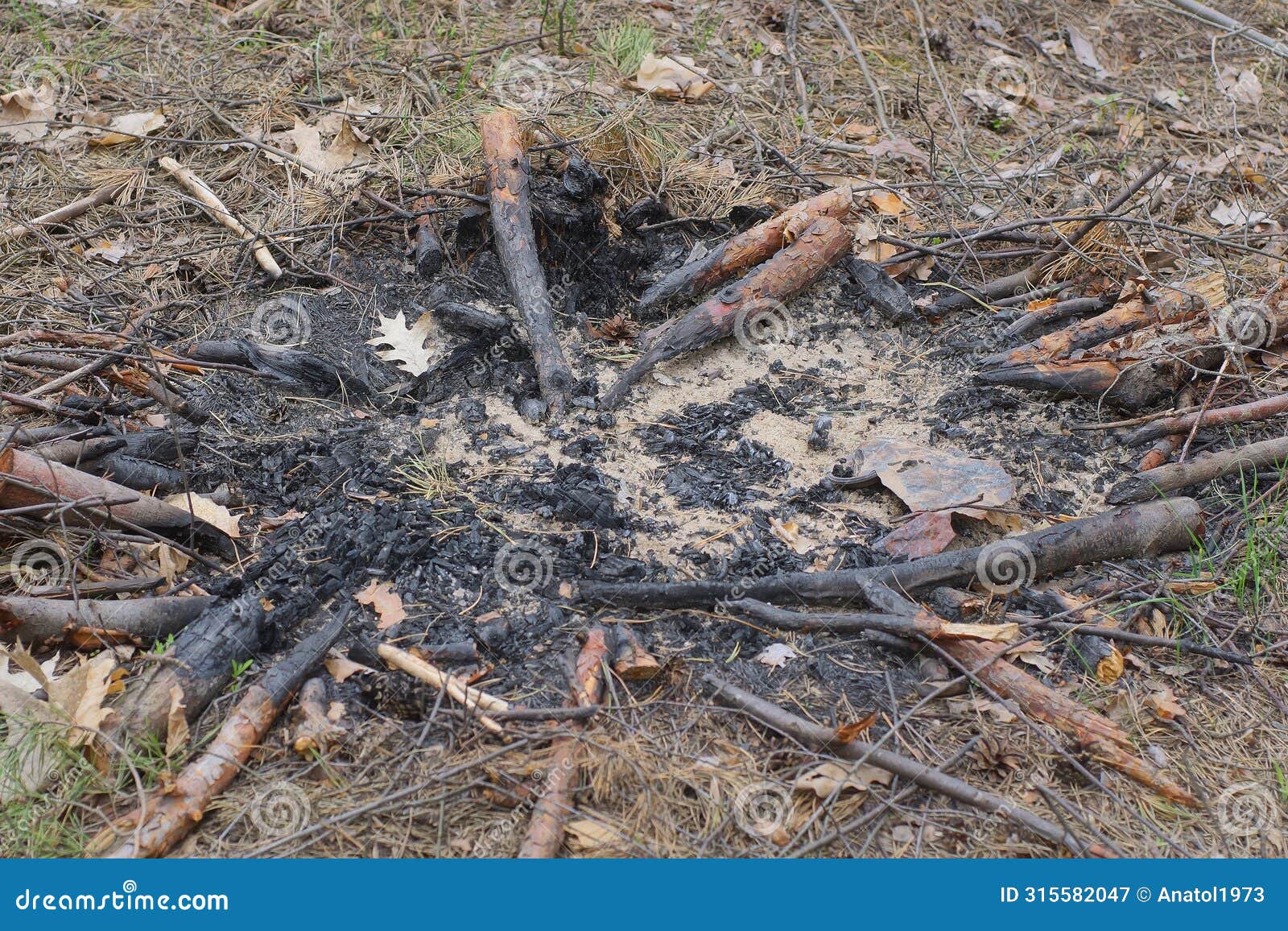 An Extinct Fire Made of Black Ash and Ash on the Brown Ground Stock ...
