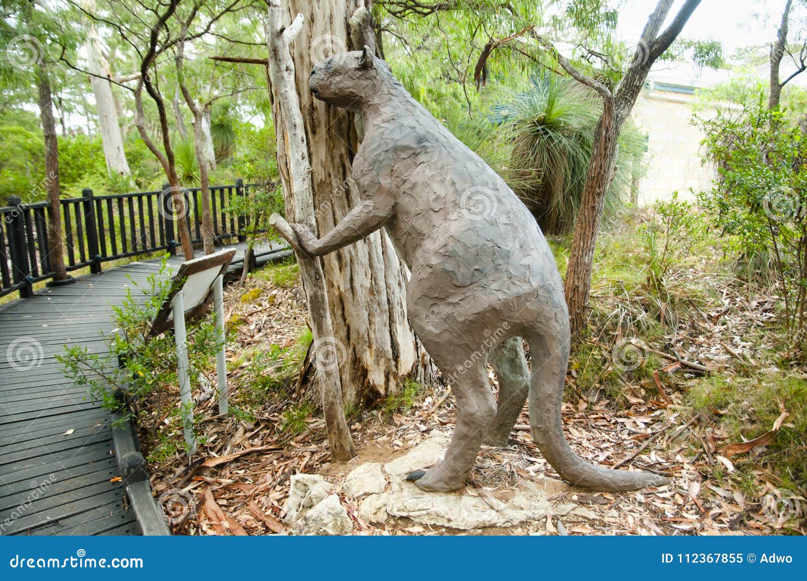 Procoptodon Stock Photos - Free & Royalty-Free Stock Photos from Dreamstime