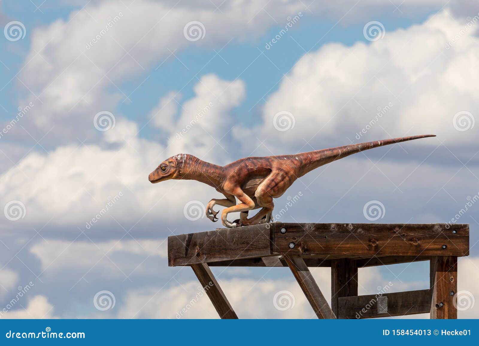 An extinct Raptor Dinosaur stock image. Image of raptor - 158454013