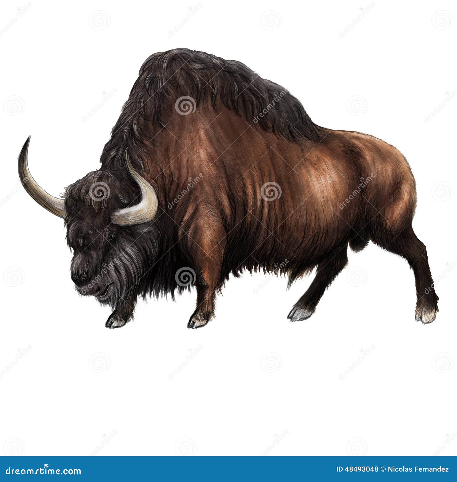 Steppe Bison