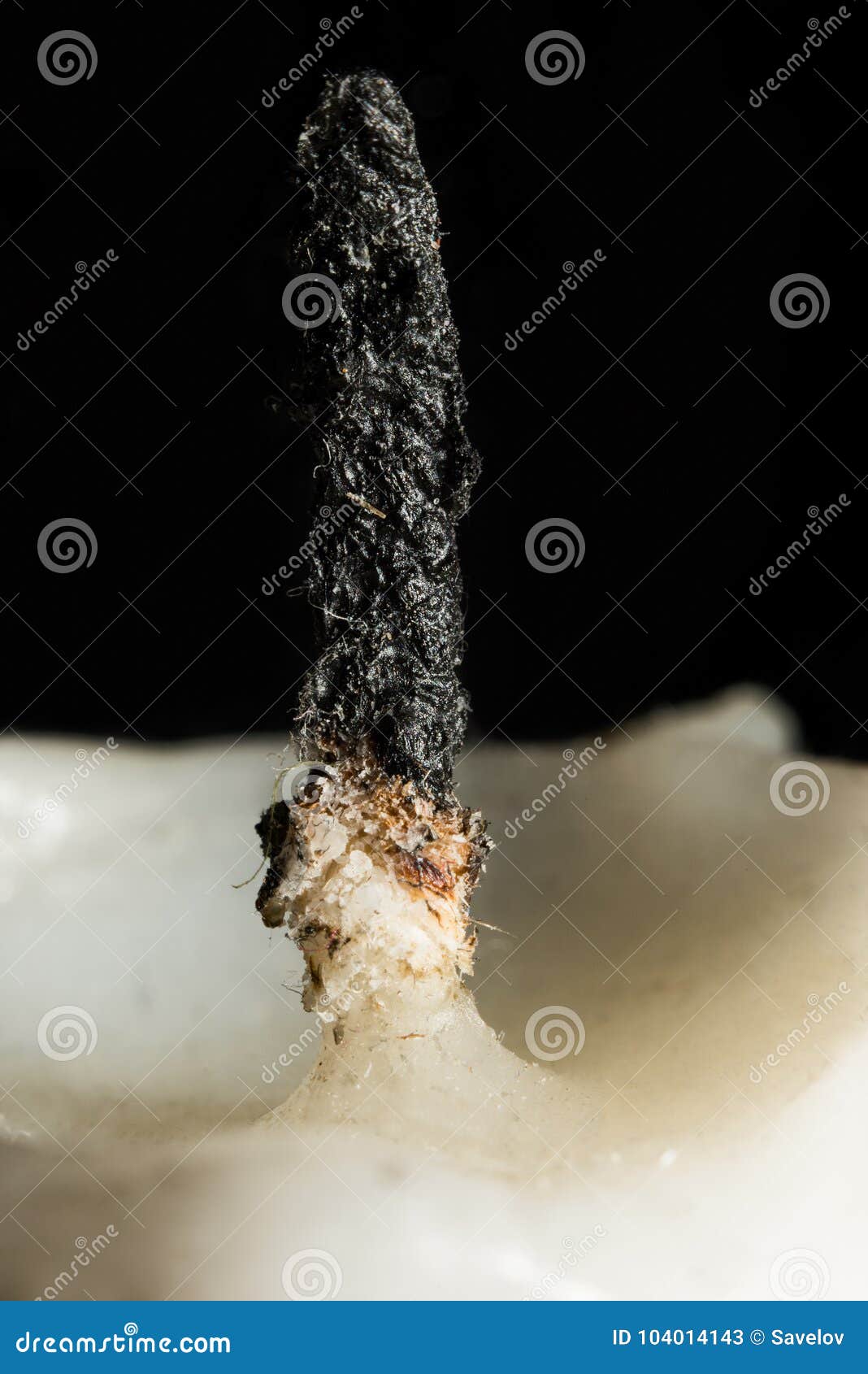 Extinct Wick White Candle Wax Macro Stock Image - Image of extinct ...