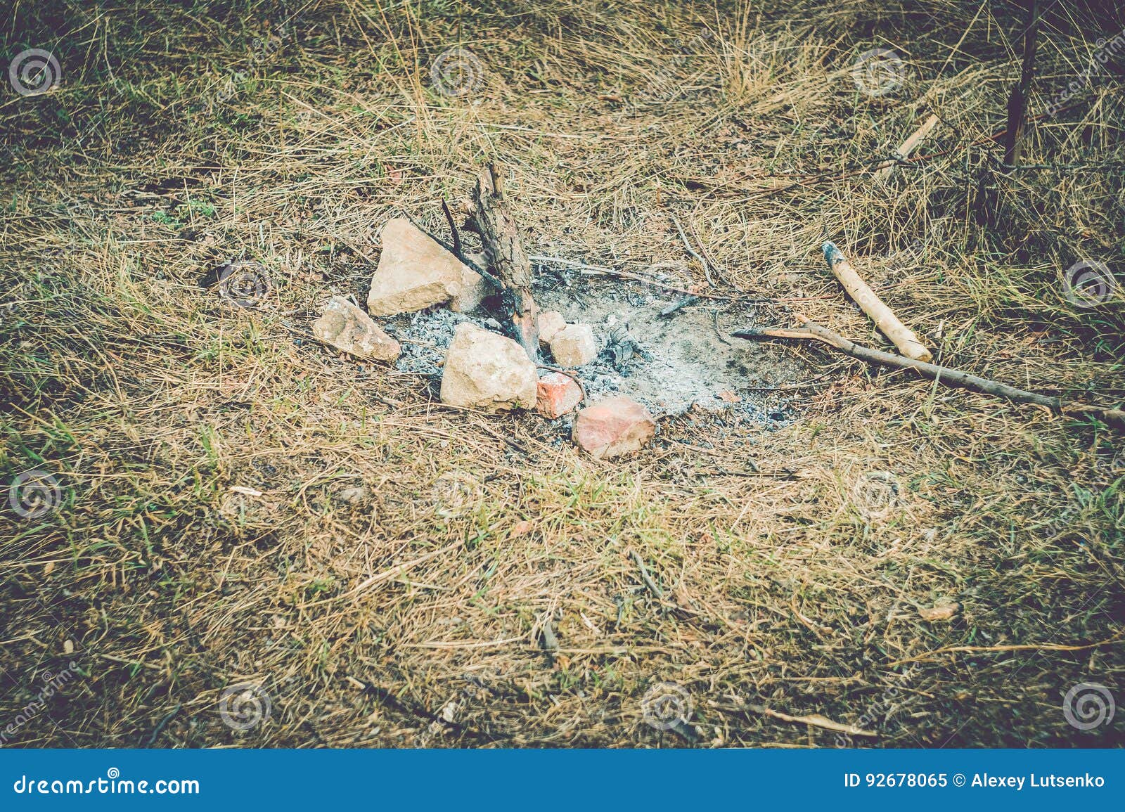 Extinguished campfire stock image. Image of fire, bonfire - 92678065