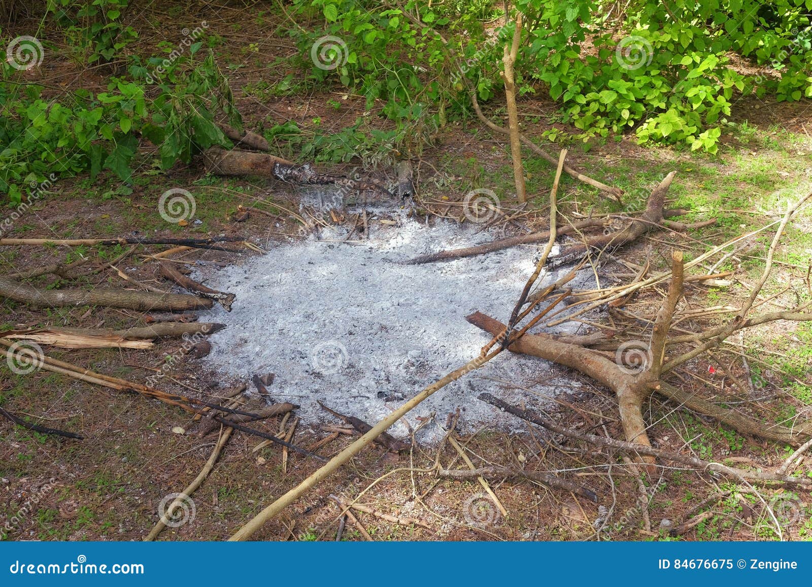 Extinguished Campfire at a Clean Lawn Stock Image - Image of close ...