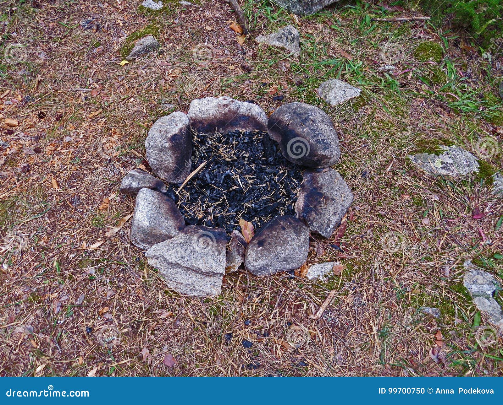 Extinguished Fire Place in the Mountain Pine Forests Stock Photo ...