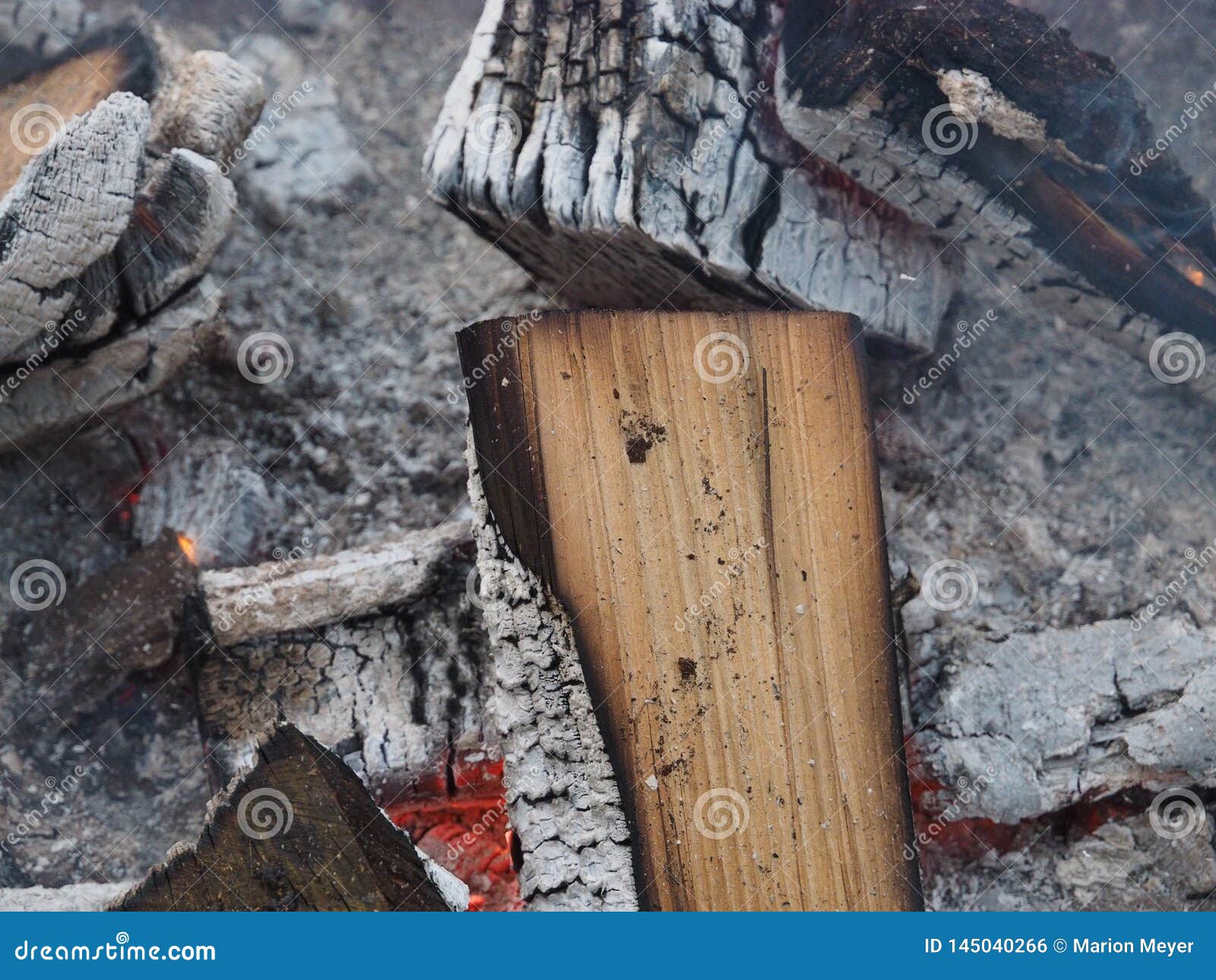 Extinguished Fire with Wood and Ashes Stock Photo - Image of close ...