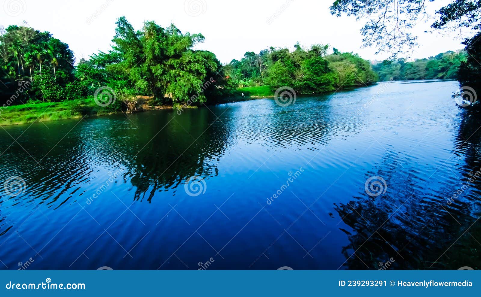 An Extra Beautiful Riverside Stock Image - Image of water, river: 239293291