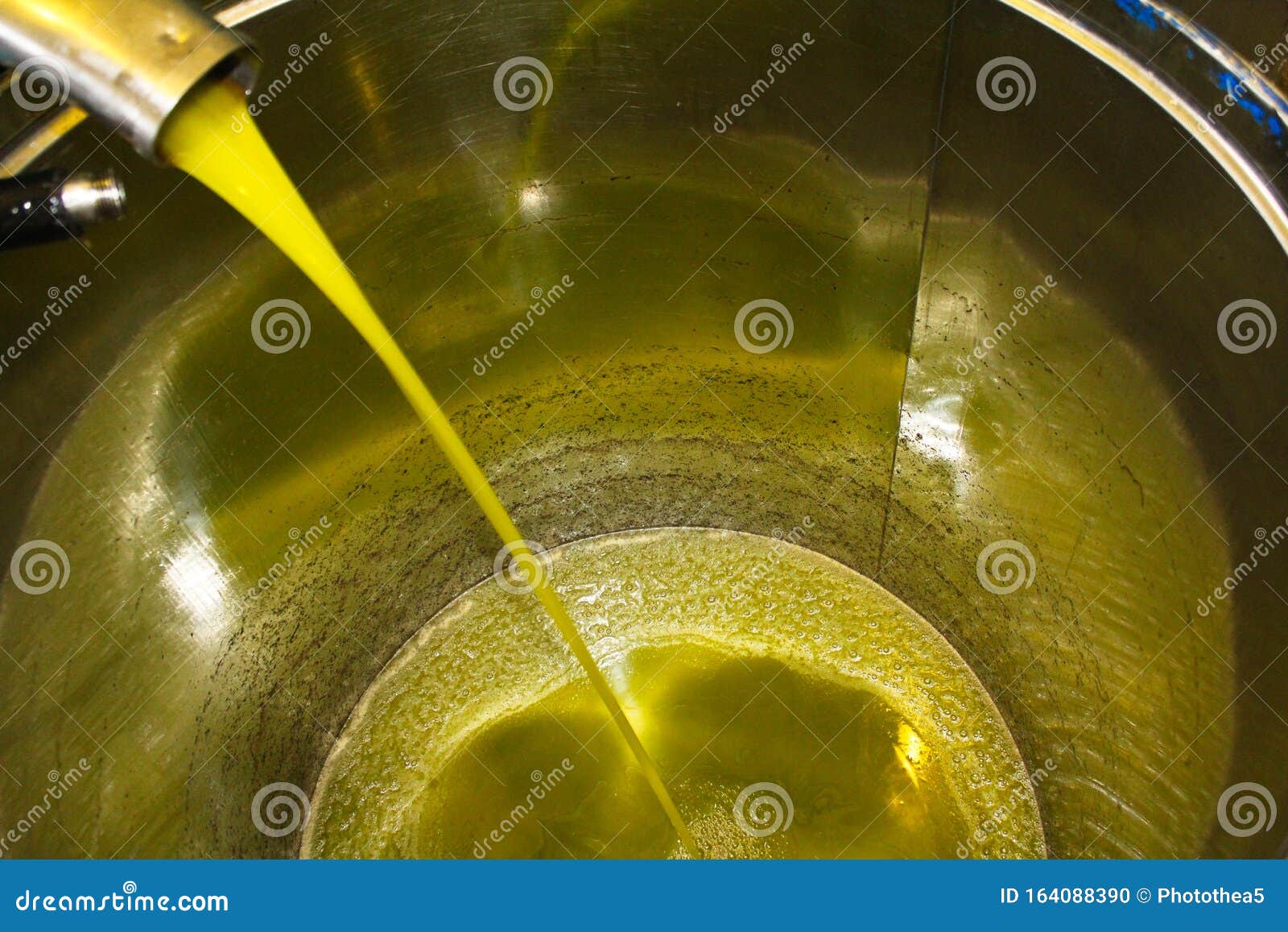 Extra Virgin Olive Oil Extraction Process Stock Photo - Image of ...