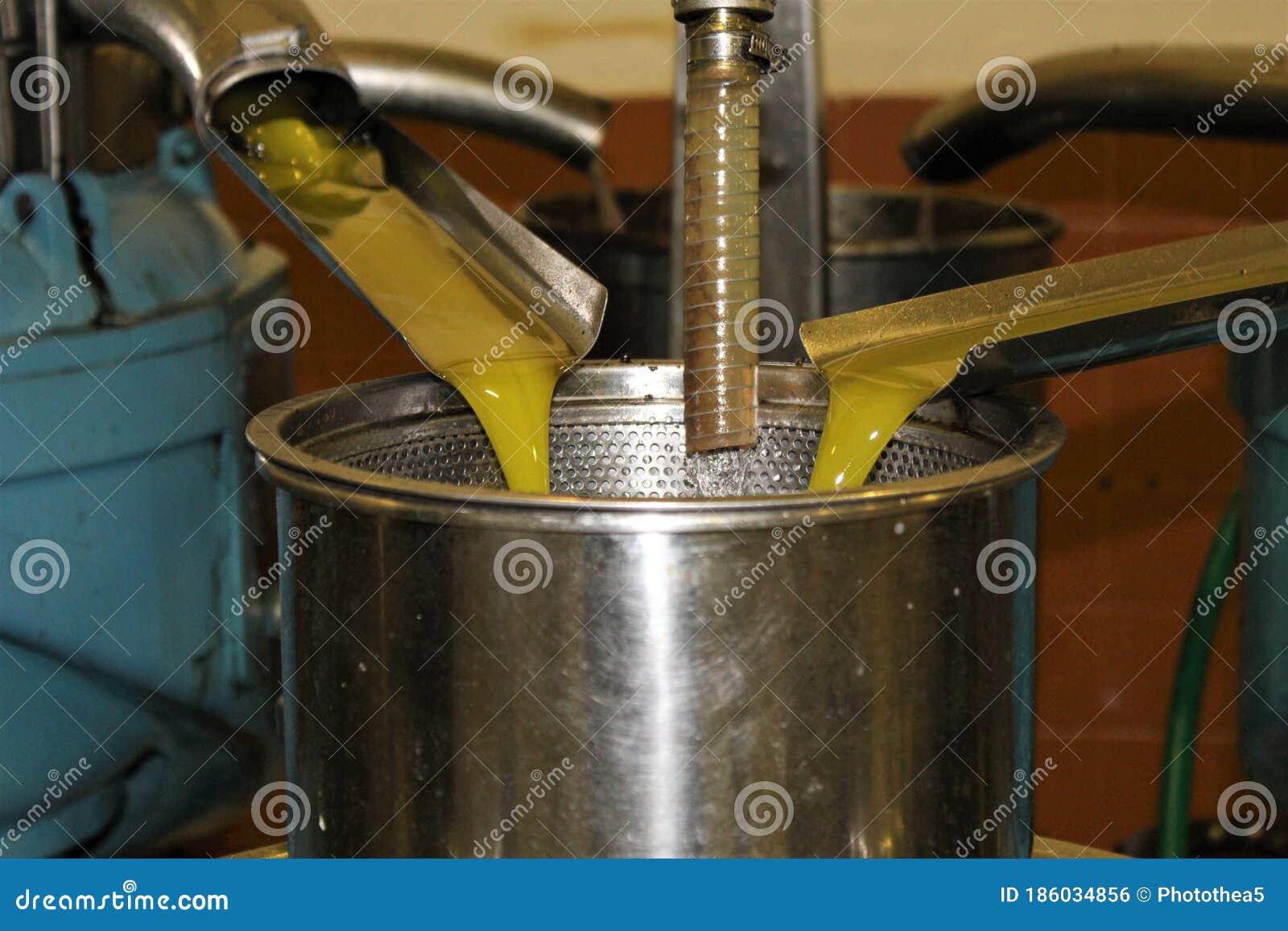 Extra Virgin Olive Oil Extraction Process in Olive Oil Mill Stock Photo ...