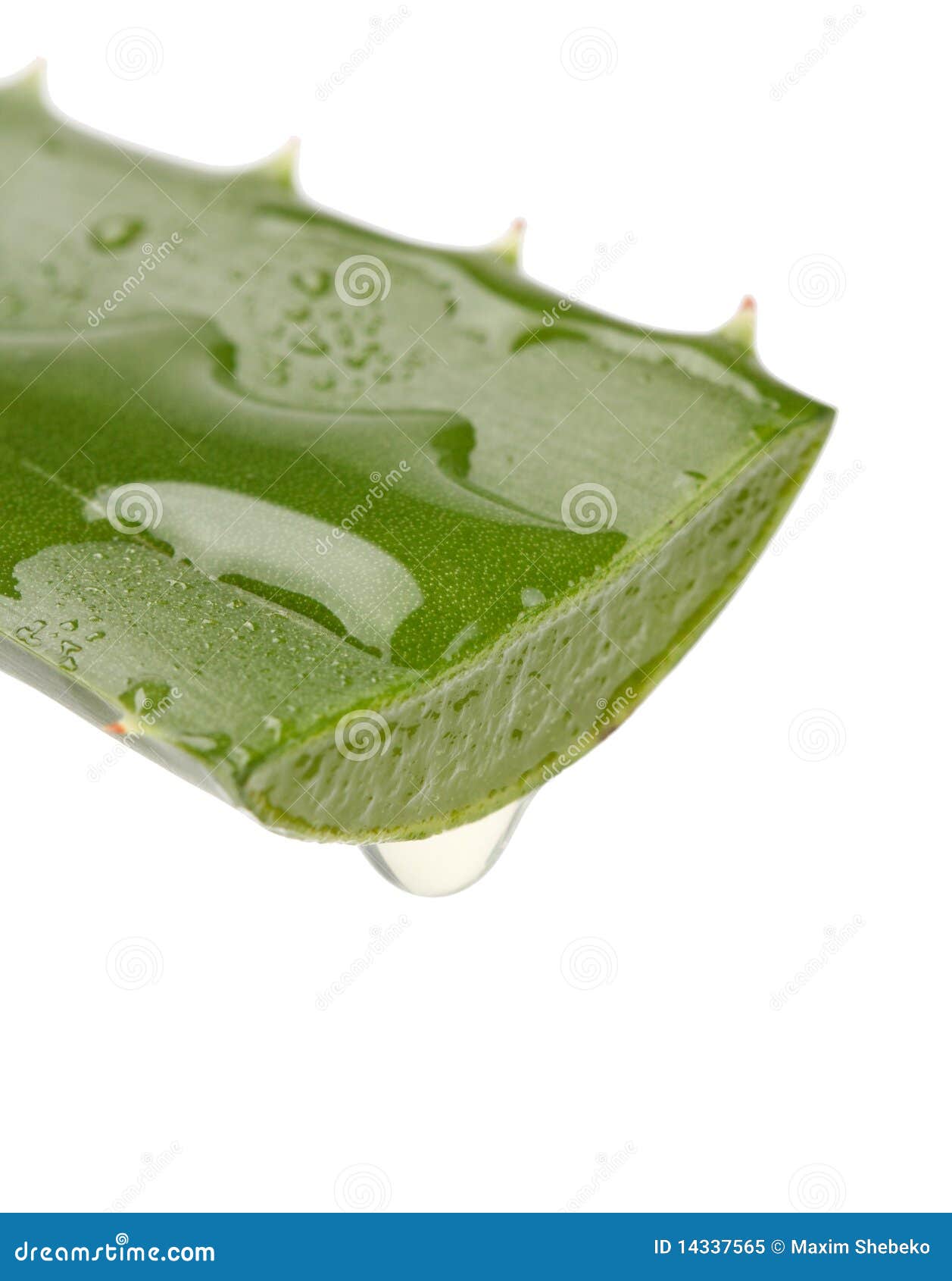 Extract of aloe stock image. Image of grow, clinically - 14337565