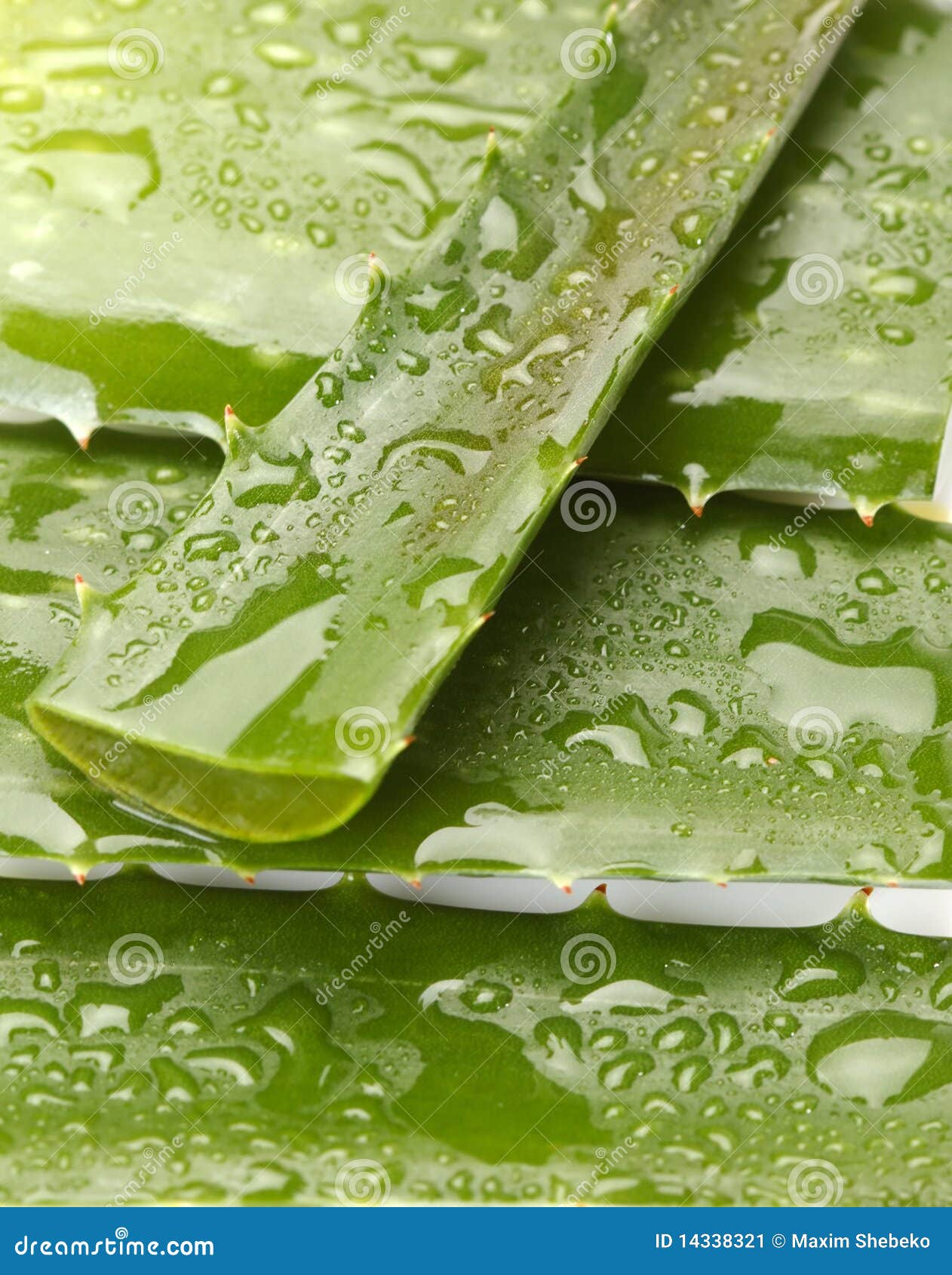Extract of aloe stock image. Image of alternative, botany - 14338321
