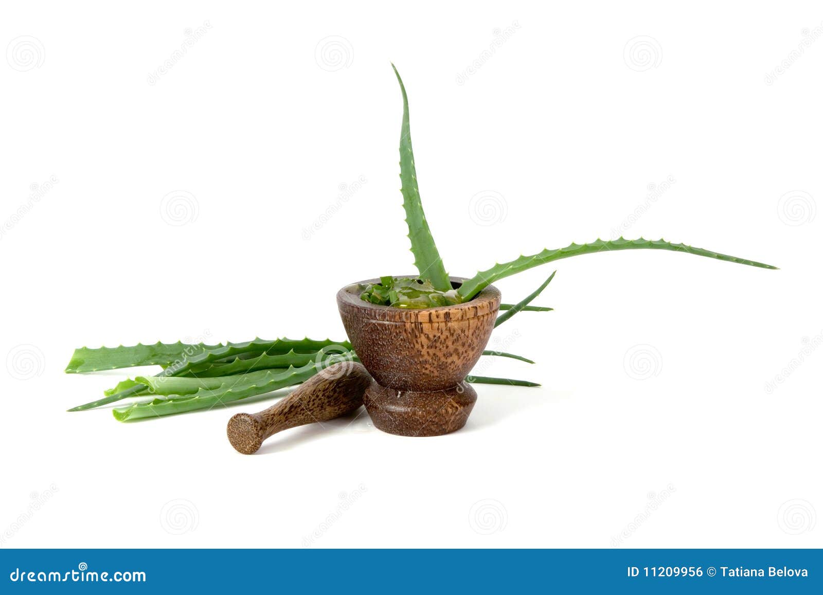 Extract of aloe vera stock photo. Image of ingredients - 11209956