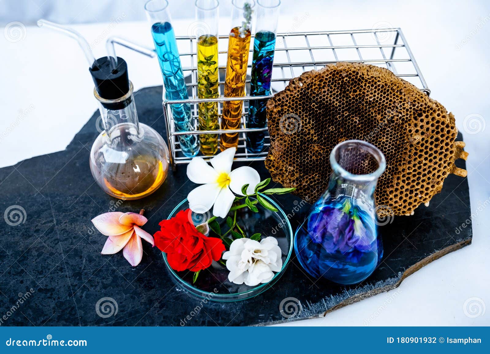 Extract of Aromatic Substances from Natural Flowers Stock Photo - Image ...