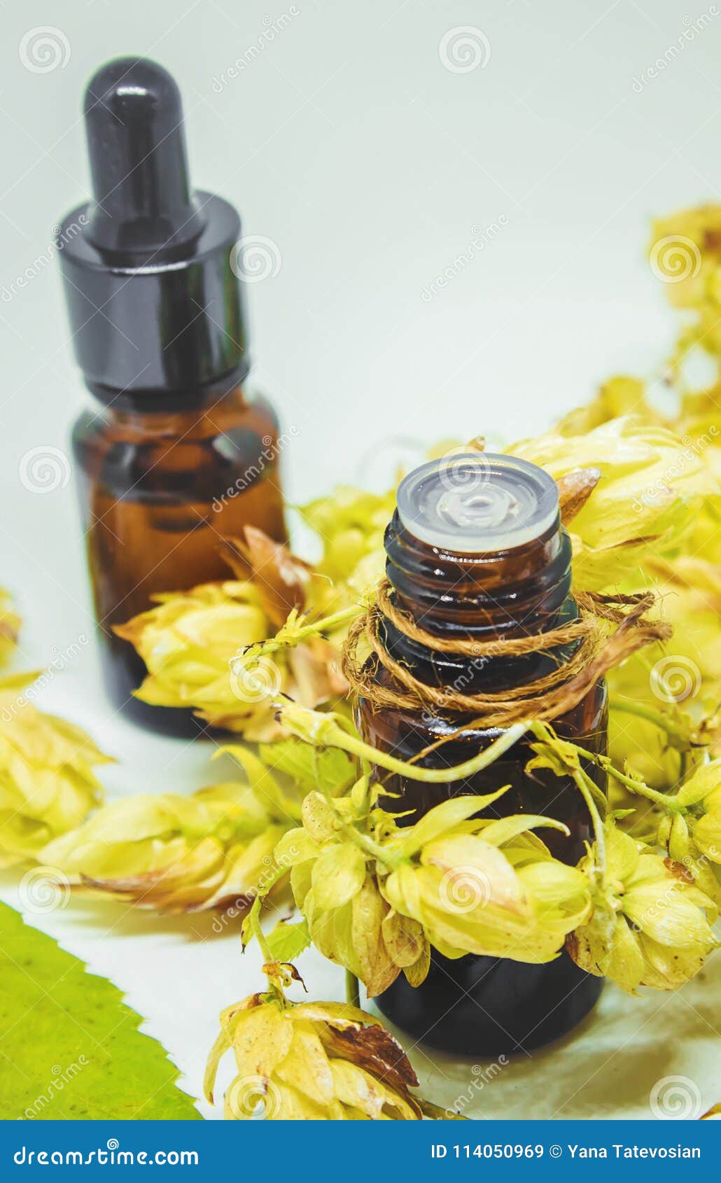 Extract of Hops in a Small Jar. Stock Image - Image of benefit ...