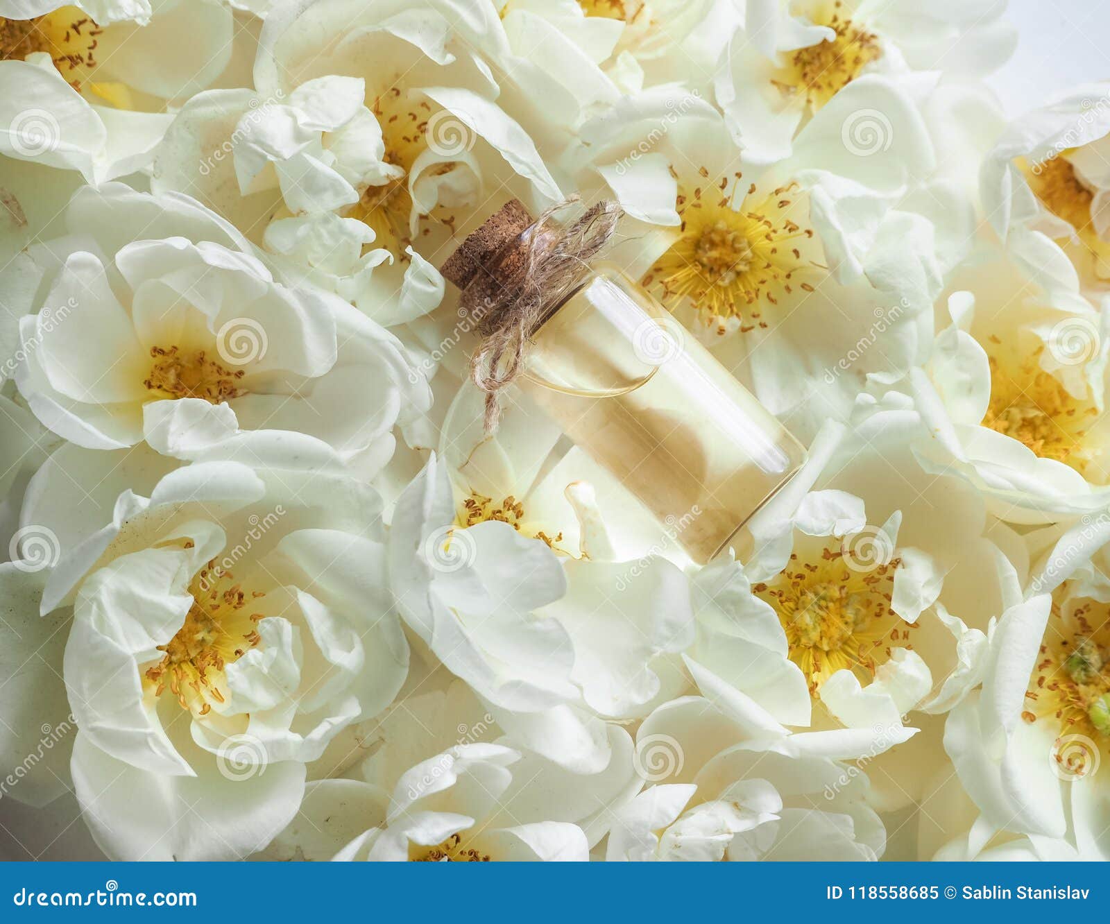 Extract of Tea Rose in a Mini Bottle. Stock Image - Image of dried ...