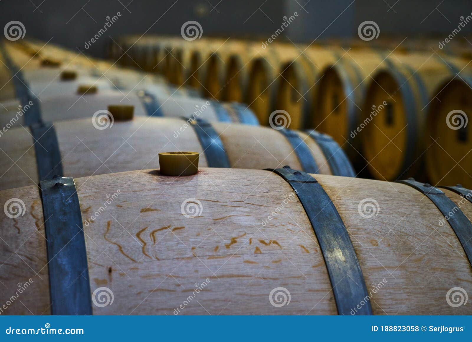 Extract of Wine in Wooden Barrels Stock Photo - Image of cork ...