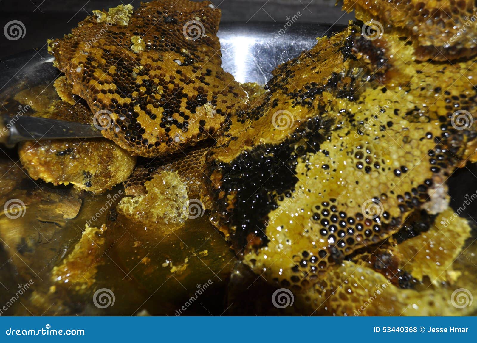 Extracted Honey from Honey Comb Stock Photo - Image of local, extracted ...