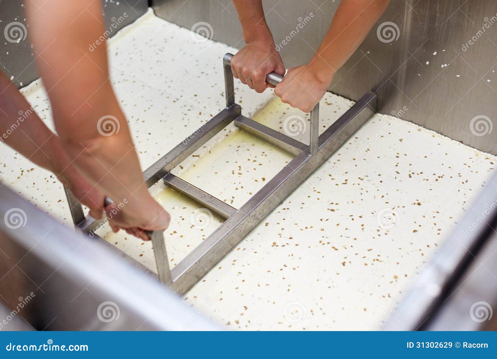 Extracting Curd of a Vat-Machine in a Cheesemaker Stock Image - Image ...