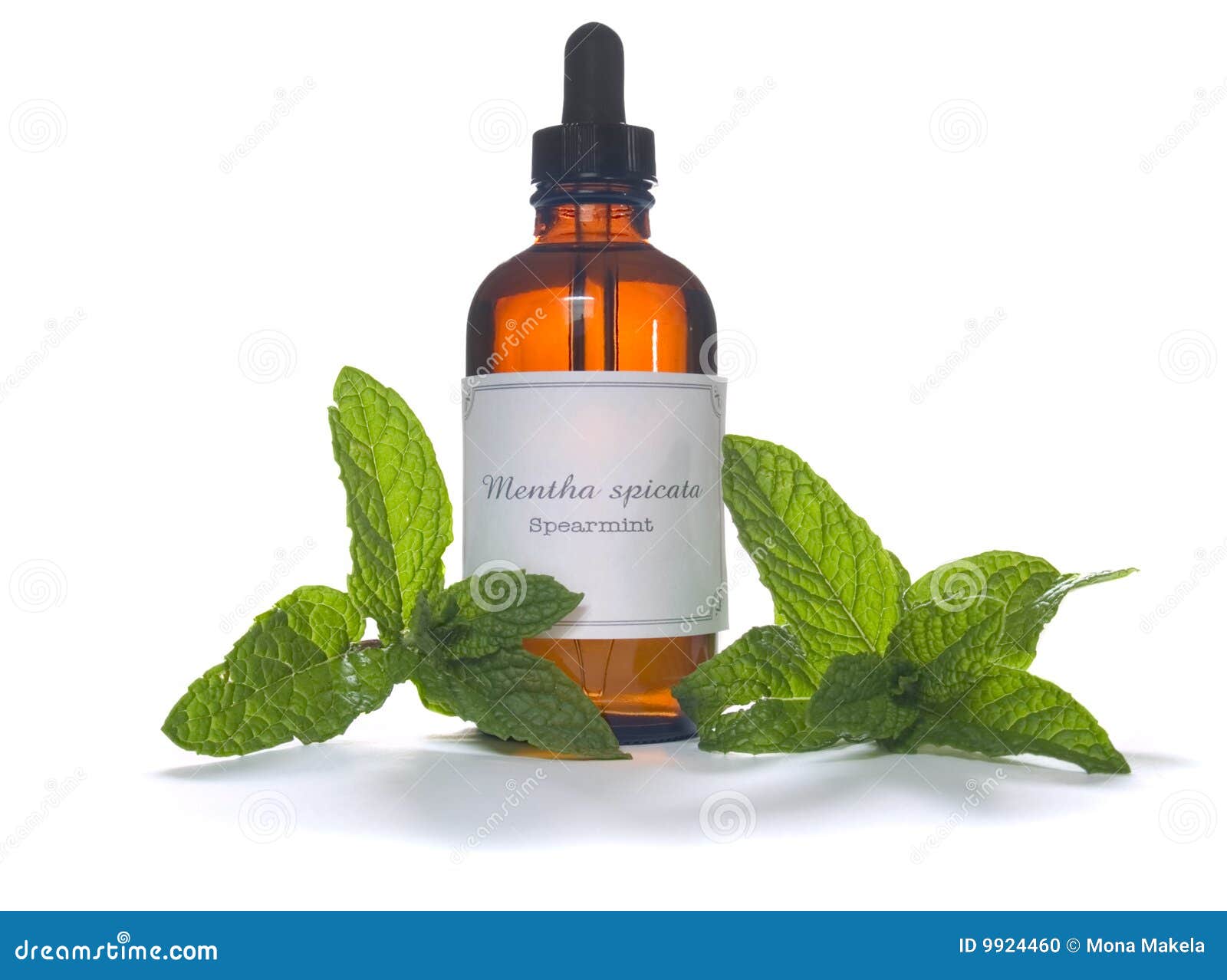 Extraction De Menthe Verte Ou Huile Essentielle Photo stock - Image du ...