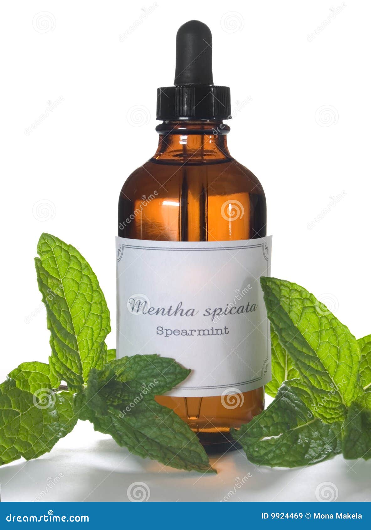 Extraction De Menthe Verte Ou Huile Essentielle Image stock - Image du ...